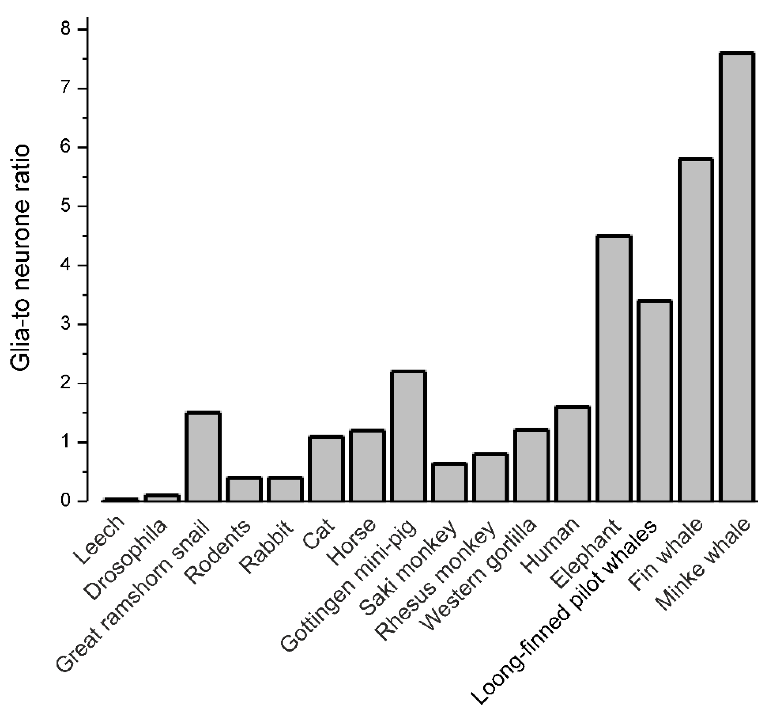 The History of the Decline and Fall of the Glial Numbers Legend