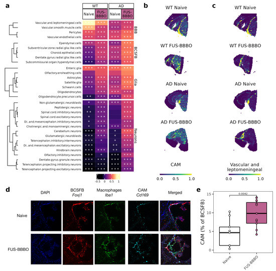 Focused Ultrasound-Mediated Blood–Brain Barrier Opening Best Promotes ...