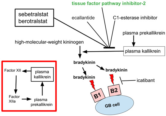 Reducing Brain Edema Using Berotralstat, an Inhibitor of Bradykinin ...