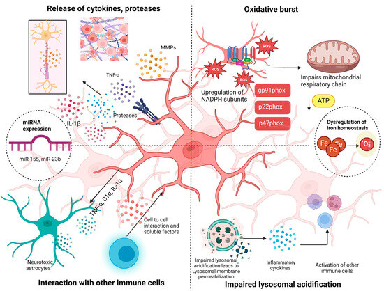 The Neuroimmunological Nexus of Multiple Sclerosis: Deciphering the Microglial Transcriptomic ...