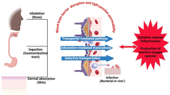 Glial Perturbation in Metal Neurotoxicity: Implications for Brain Disorders