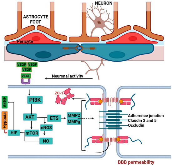 Illustrating the Pathogenesis and Therapeutic Approaches of Epilepsy by ...