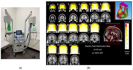 Neurology International | Free Full-Text | Safety of Deep Repetitive ...