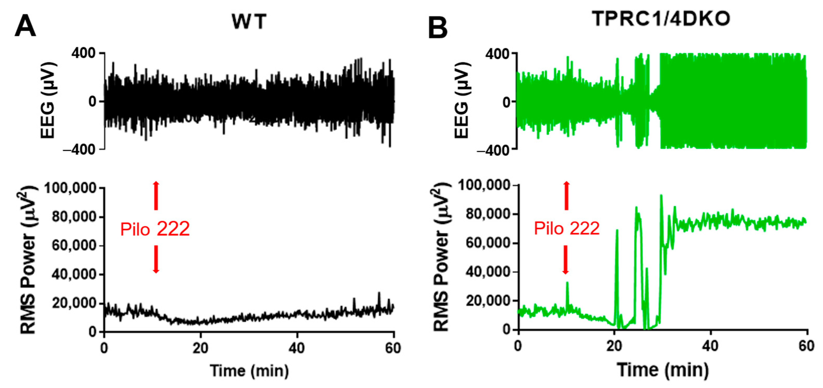 Increased Susceptibility to Pilocarpine-Induced Status Epilepticus and Reduced Latency in TRPC1 ...
