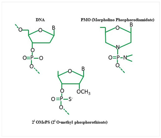 Molecular and Biochemical Therapeutic Strategies for Duchenne Muscular ...