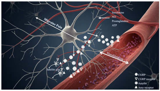fMRI Insights into Visual Cortex Dysfunction as a Biomarker for ...