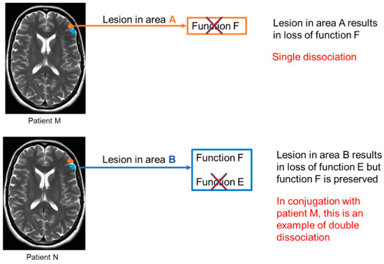 How Do We Connect Brain Areas with Cognitive Functions? The Past, the ...