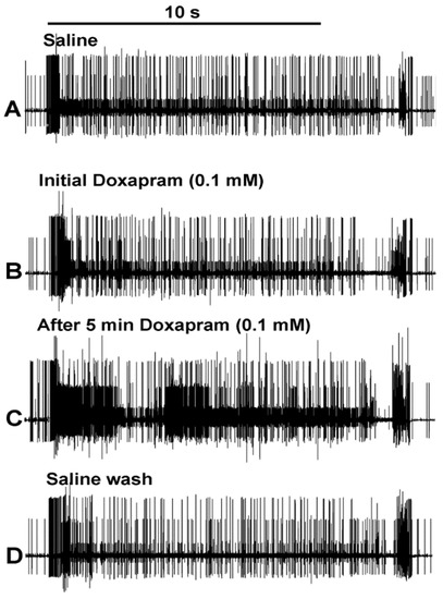 The Effect of Doxapram on Proprioceptive Neurons: Invertebrate Model