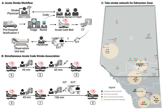 NeuroSci | Free Full-Text | Workflow and Short-Term Functional Outcomes ...