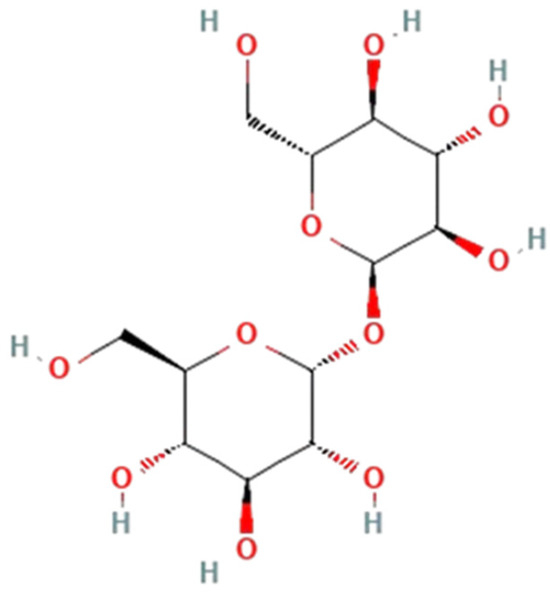 Trehalose: Neuroprotective Effects and Mechanisms—An Updated Review