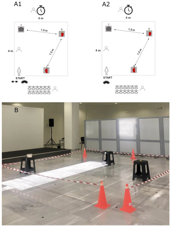 Development of Spatial Memory: A Behavioral Study