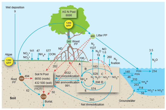 Nitrogen | An Open Access Journal from MDPI