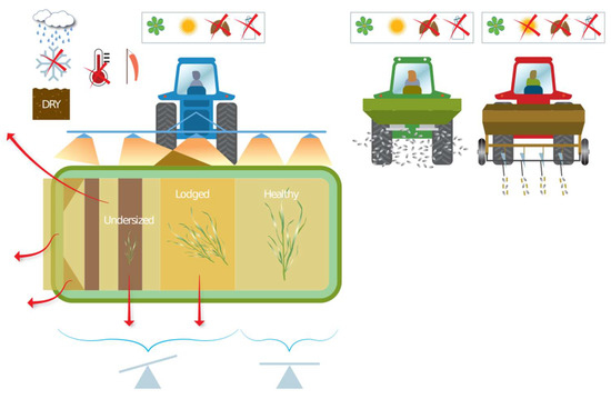 Nitrogen | An Open Access Journal from MDPI