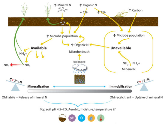 Nitrogen | An Open Access Journal from MDPI