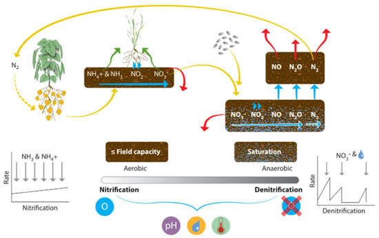 Nitrogen | An Open Access Journal from MDPI