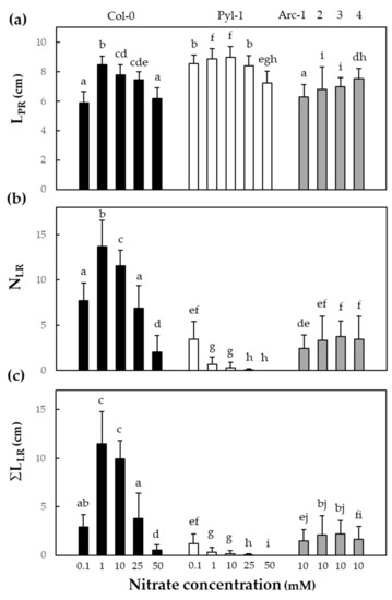 Nitrogen | An Open Access Journal from MDPI