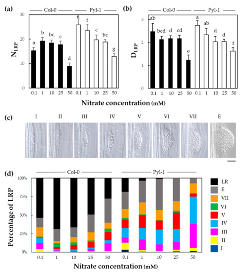 Nitrogen | An Open Access Journal from MDPI