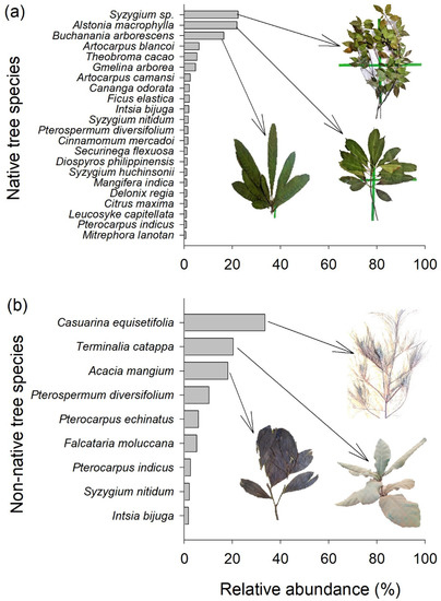 Nitrogen Rather Than Phosphorus Limits the Productivity of the Dominant ...