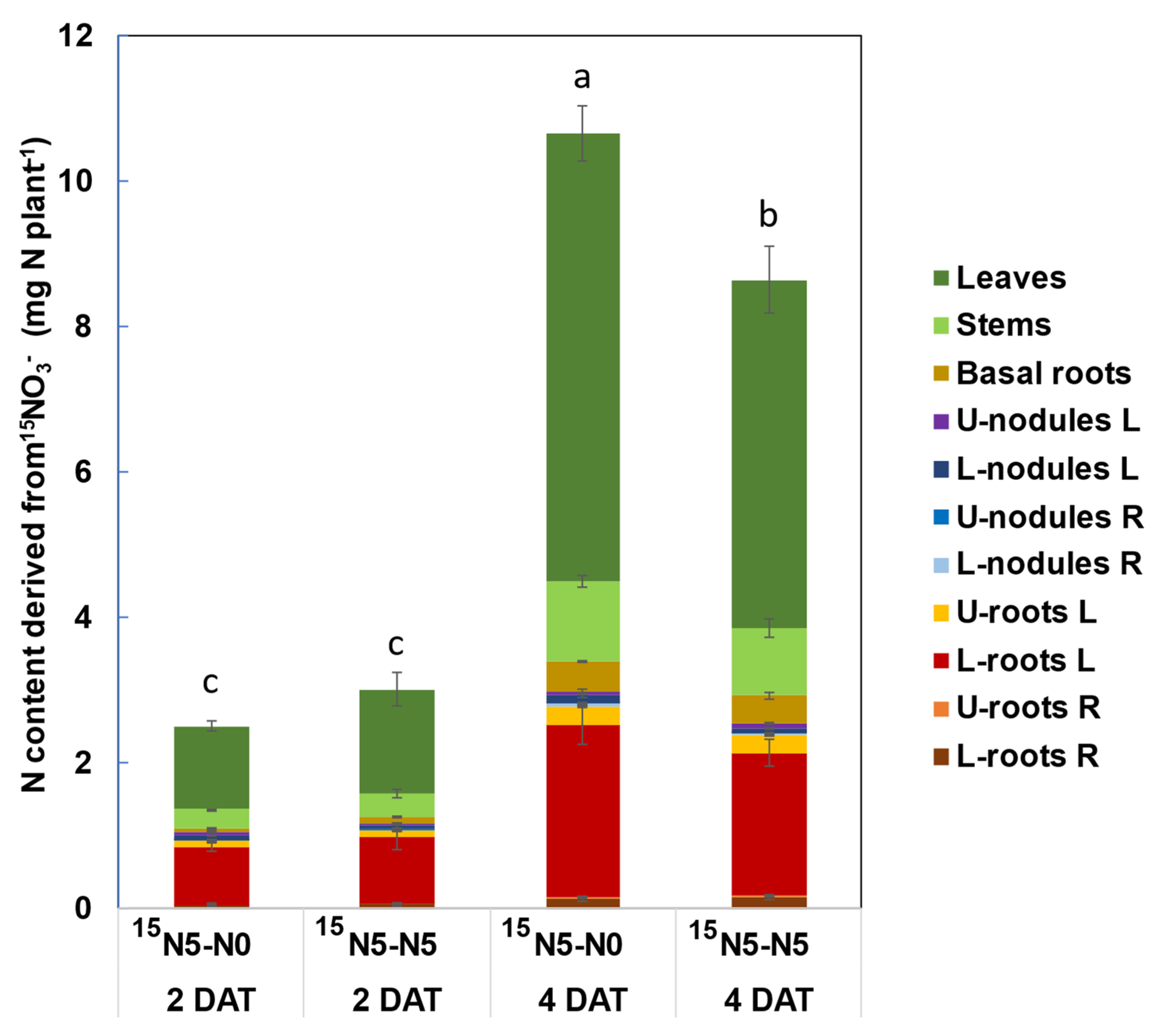 N Absorption, Transport, and Recycling in Nodulated Soybean Plants by ...