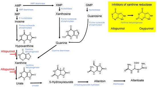 Nitrogen Metabolism in Non-Nodulated and Nodulated Soybean Plants ...