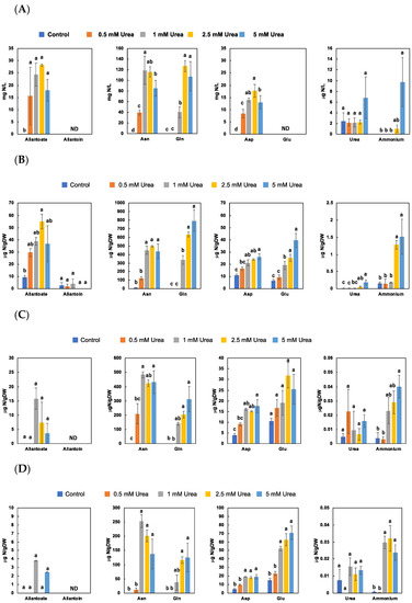 Nitrogen Metabolism in Non-Nodulated and Nodulated Soybean Plants ...