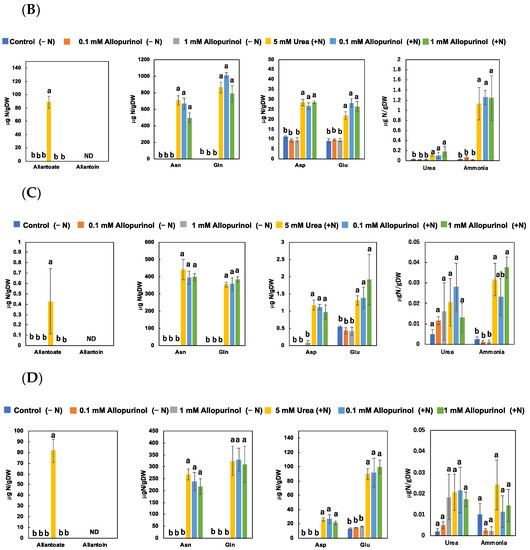 Nitrogen Metabolism in Non-Nodulated and Nodulated Soybean Plants ...
