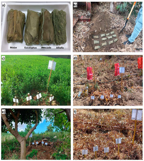 Litter Decomposition Rates of Four Species of Agroecological Importance ...