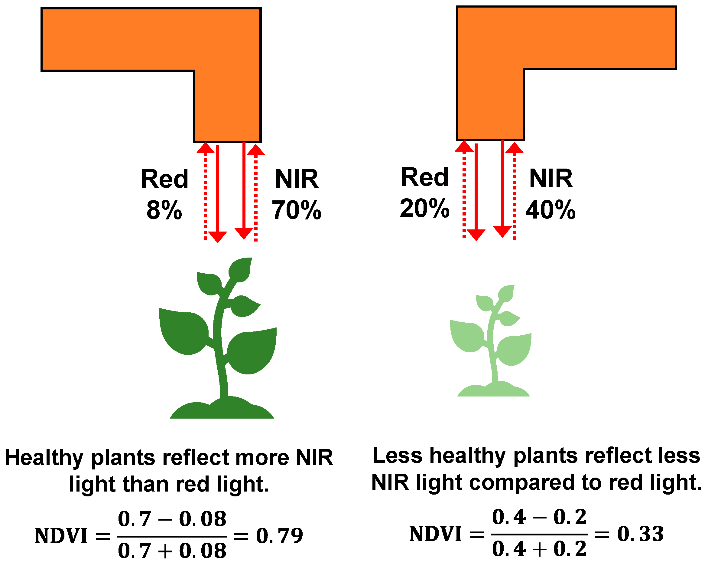 Site-Specific Nitrogen Fertilizer Management Using Canopy Reflectance ...
