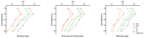 Effects of Biochar, Biogas Slurry, and Dicyandiamide Application on N2O ...