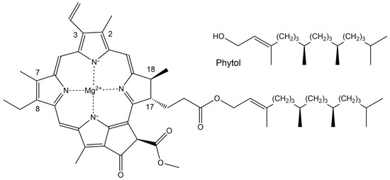 Waste from Food and Agro-Food Industries as Pigment Sources: Recovery ...