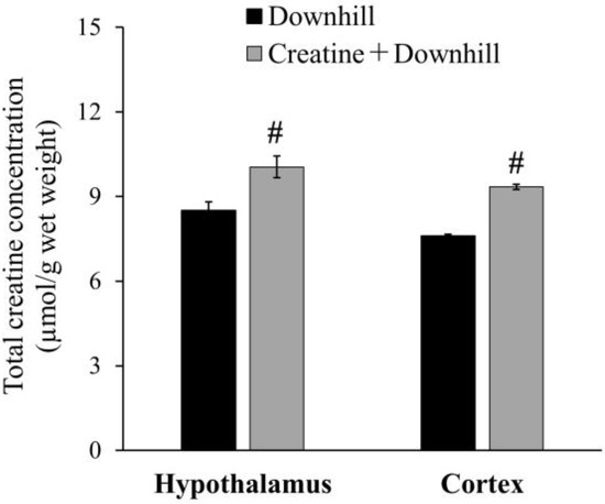 Creatine Supplementation Alleviates Fatigue after Exercise through Anti ...