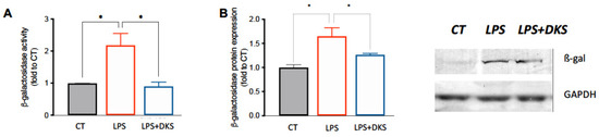 Protection against Microglia Senescence by the Dietary Supplement ...