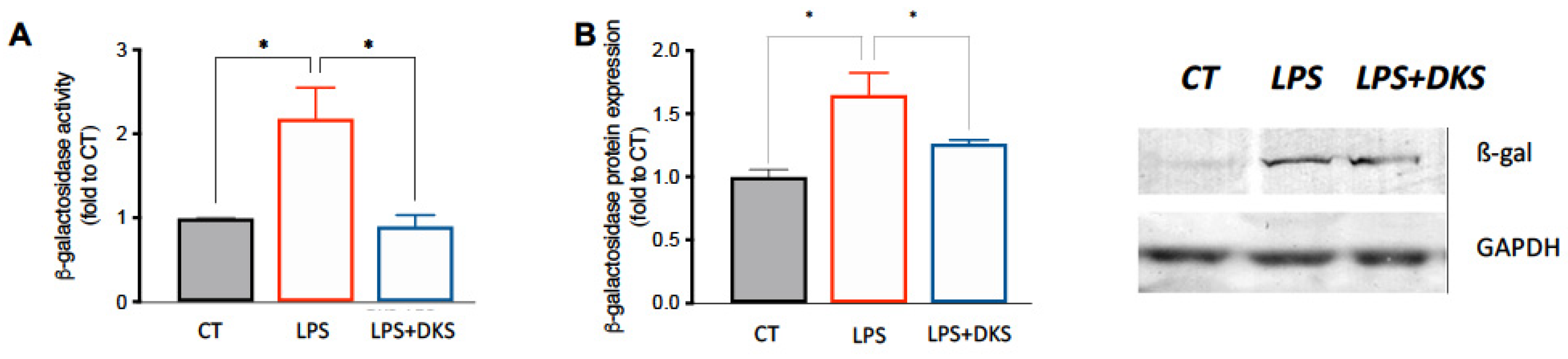 Protection against Microglia Senescence by the Dietary Supplement ...