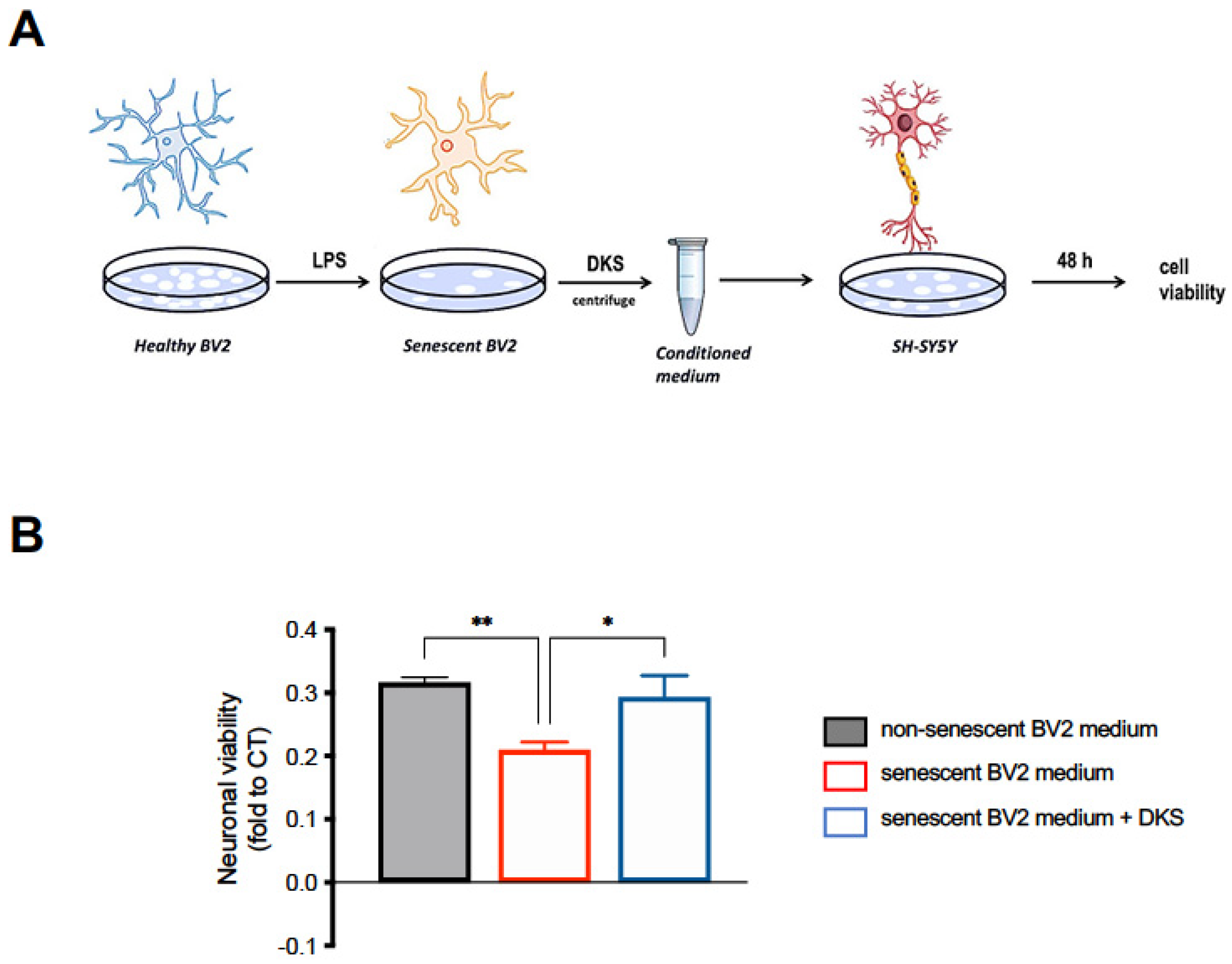 Protection against Microglia Senescence by the Dietary Supplement ...