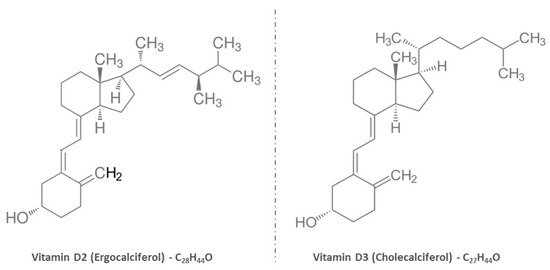 Vitamin D Physiology, Deficiency, Genetic Influence, and the Effects of ...