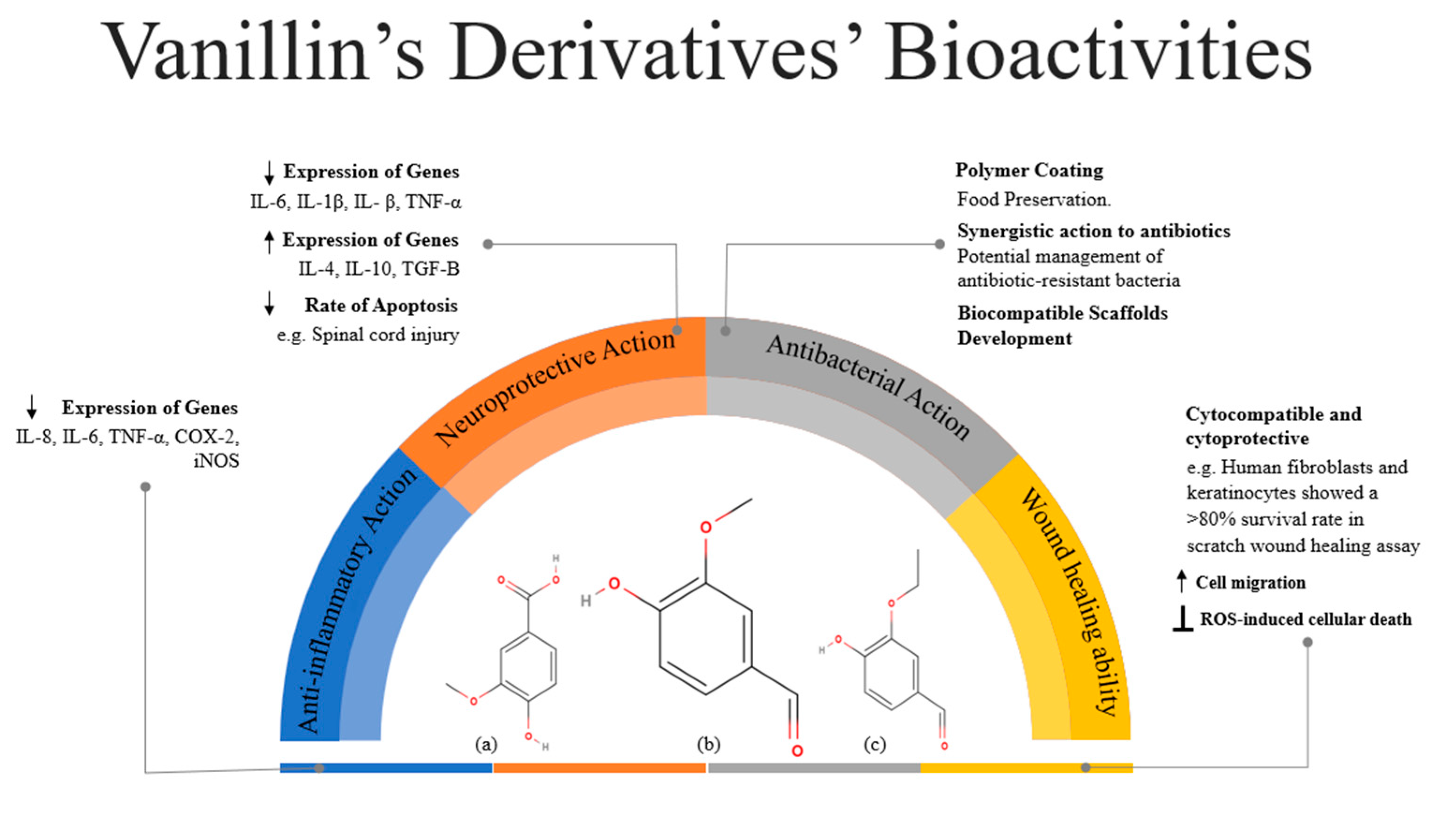 Vanillin and Its Derivatives: A Critical Review of Their Anti ...