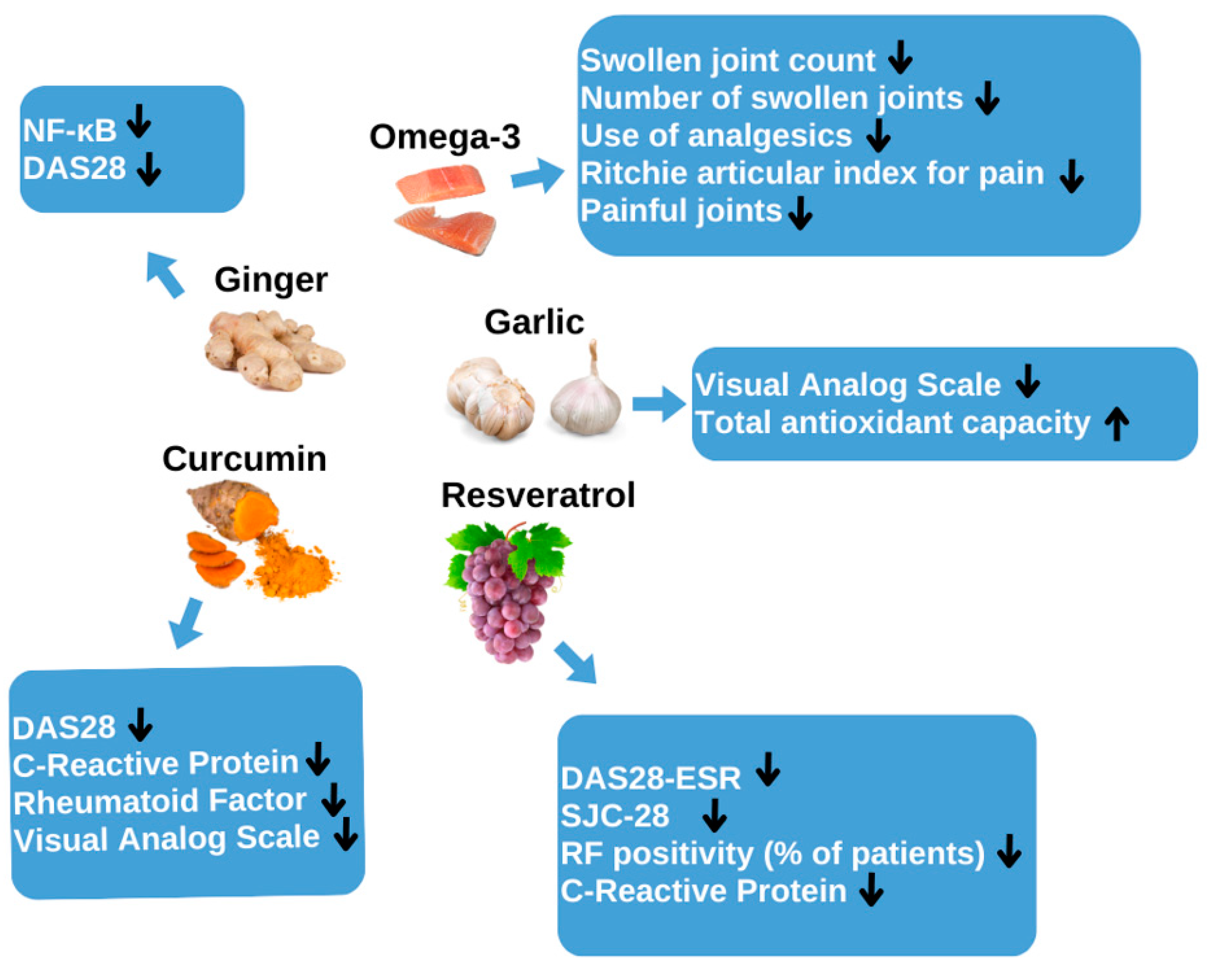 Adjunctive Therapies in Rheumatoid Arthritis