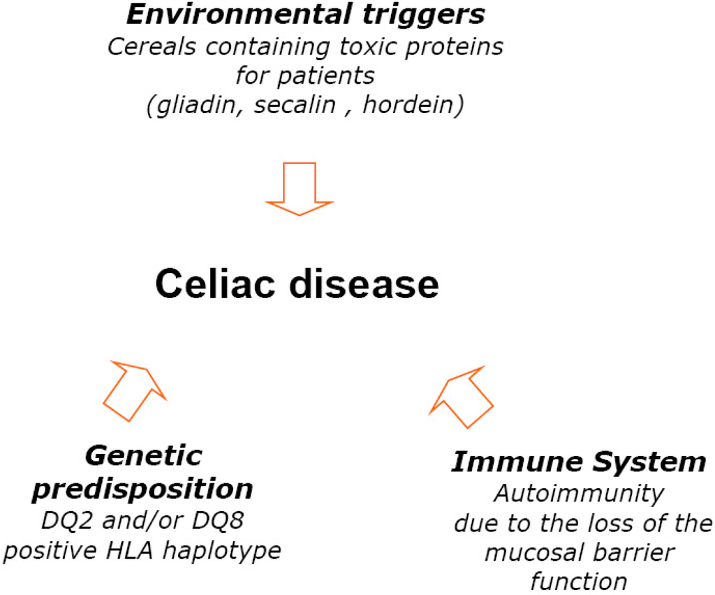 The Gluten-Free Diet: Safety and Nutritional Quality