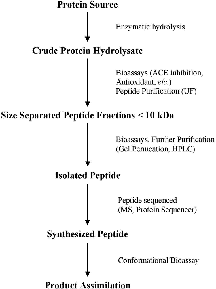 Bioactive Peptides from Muscle Sources: Meat and Fish