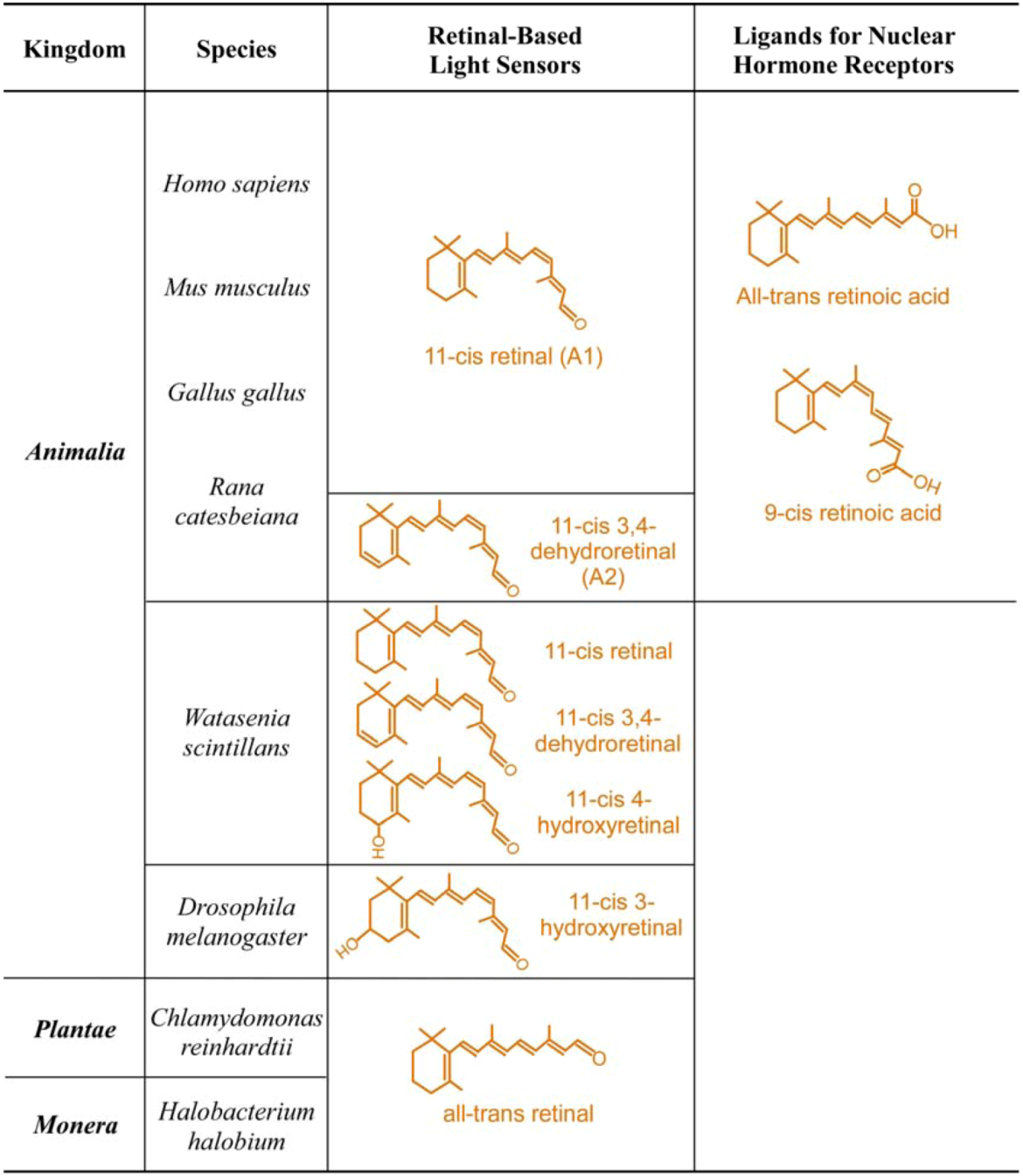 Retina, Retinol, Retinal and the Natural History of Vitamin A as a ...