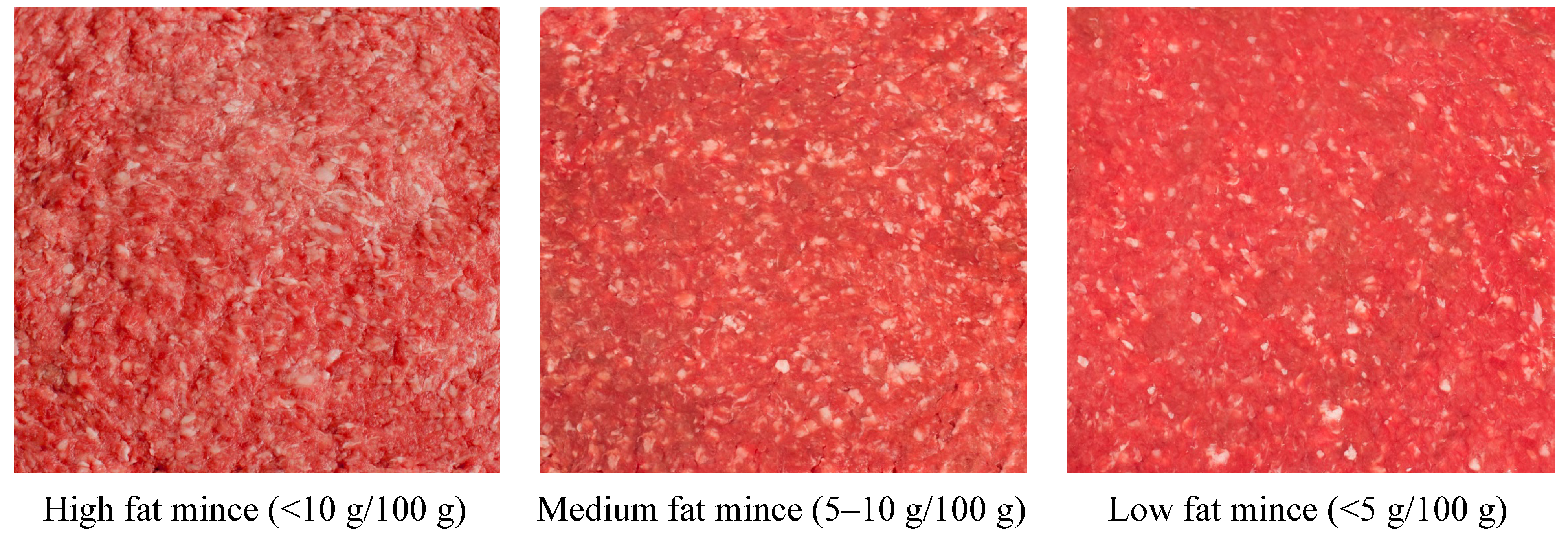 Fat Content and Composition in Retail Samples of Australian Beef Mince