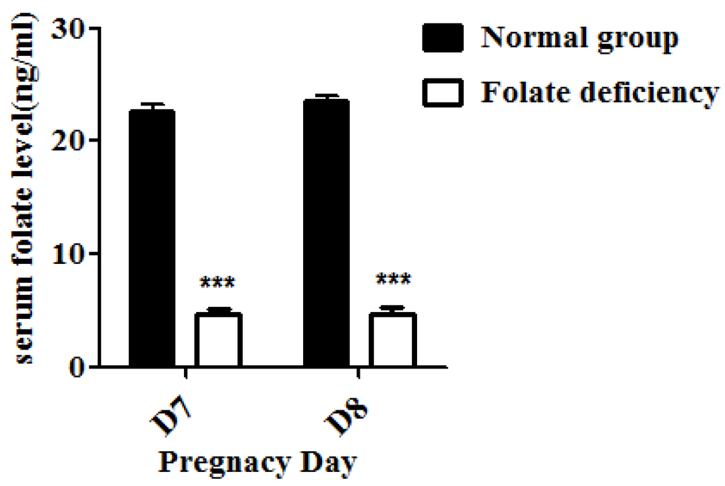 Folate Deficiency Decreases Apoptosis of Endometrium Decidual Cells in ...