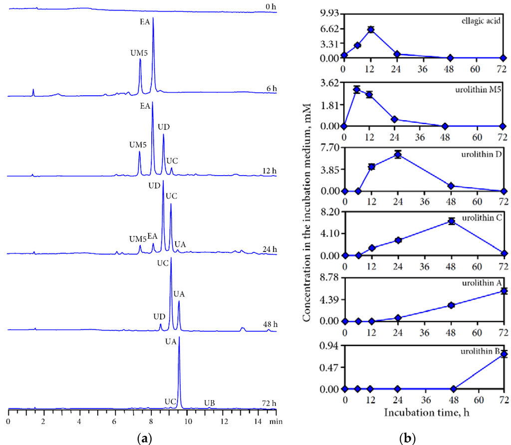 Nutrients | Free Full-Text | In Vitro Bioaccessibility, Human Gut ...