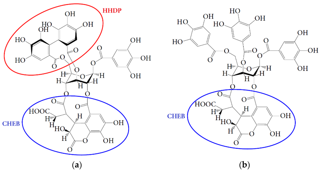 Nutrients | Free Full-Text | In Vitro Bioaccessibility, Human Gut ...