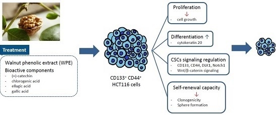 Nutrients | Free Full-Text | Walnut Phenolic Extract and Its Bioactive ...