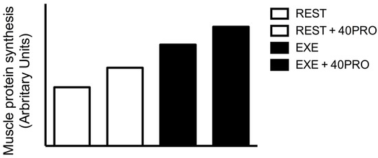 Pre-Sleep Protein Ingestion to Improve the Skeletal Muscle Adaptive ...