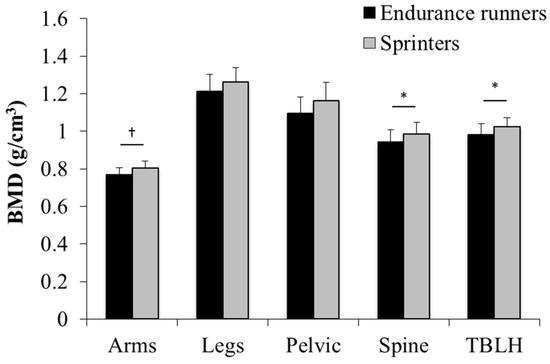 Comparison of Site-Specific Bone Mineral Densities between Endurance ...