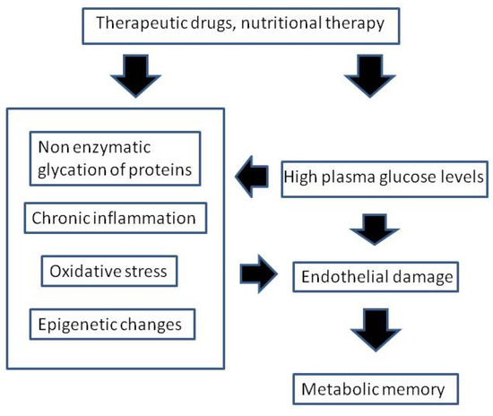 The “Metabolic Memory” Theory and the Early Treatment of Hyperglycemia ...