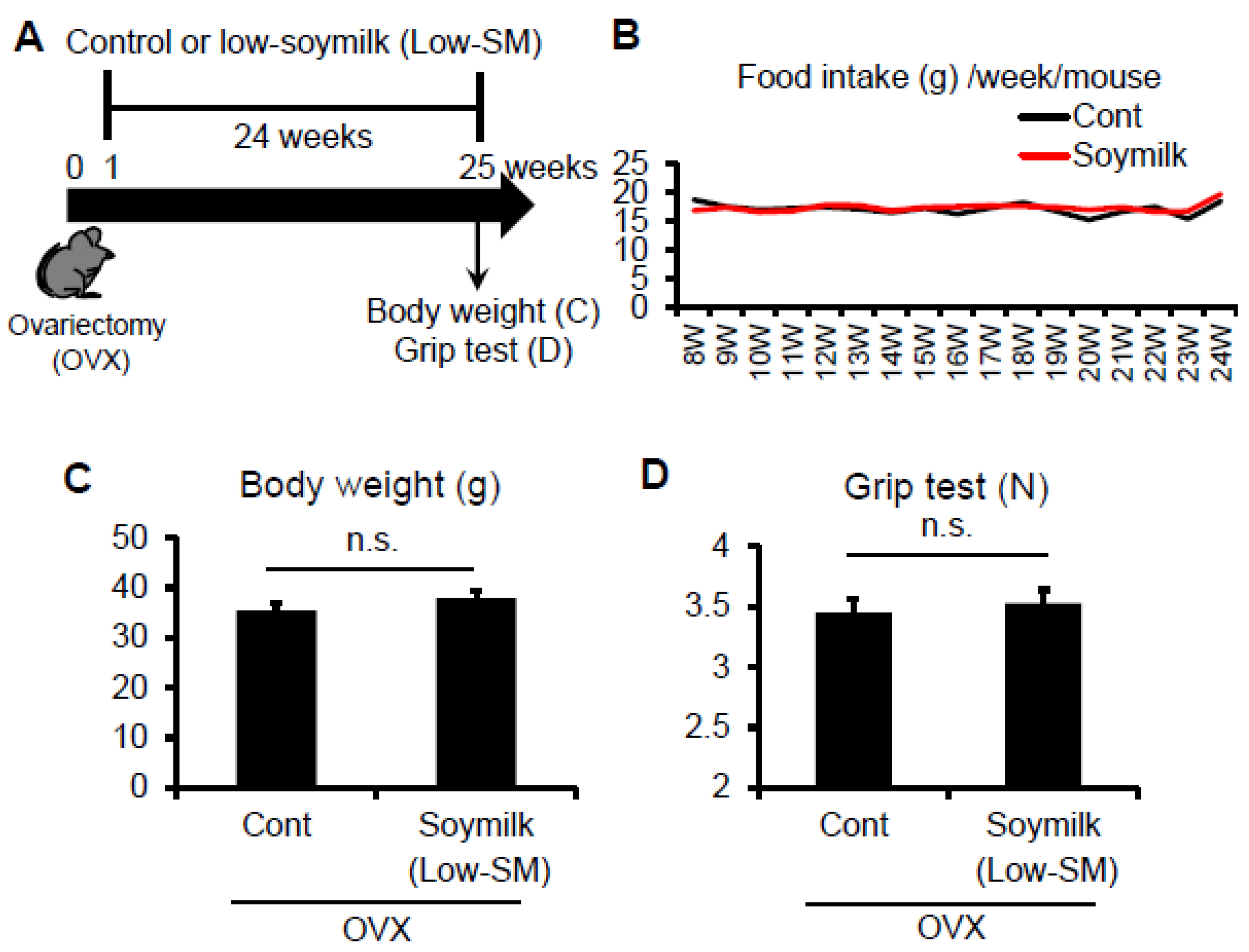 Soymilk Improves Muscle Weakness in Young Ovariectomized Female Mice