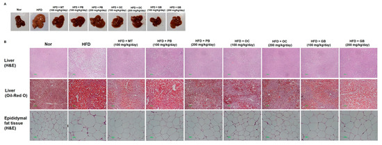 Hepatoprotective Effects of Insect Extracts in an Animal Model of ...